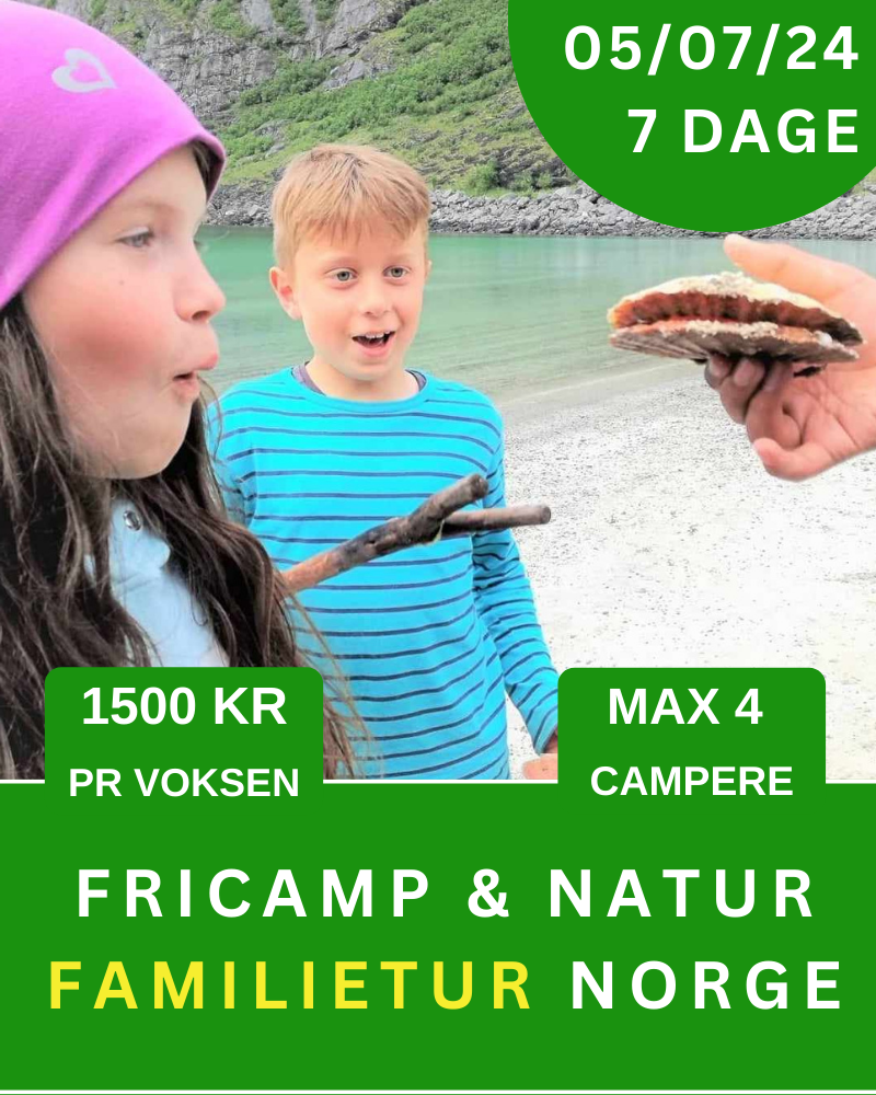 Freelifer.dk – Vi skræddersyer autocamper rejser til smukke ...