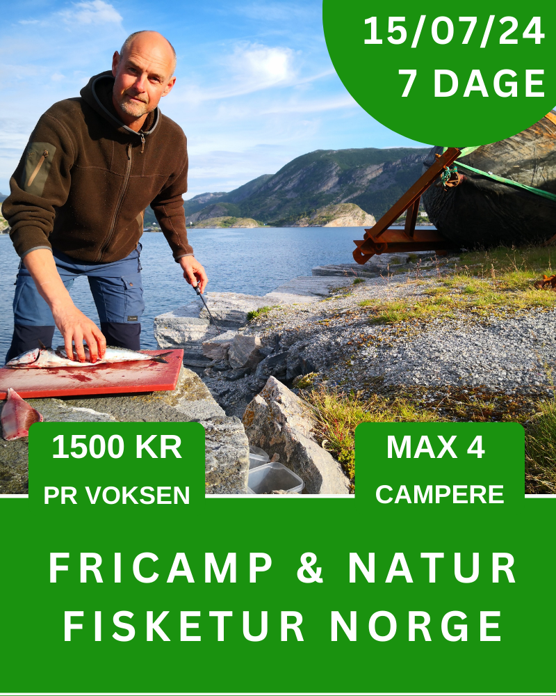 Freelifer.dk – Vi skræddersyer autocamper rejser til smukke ...